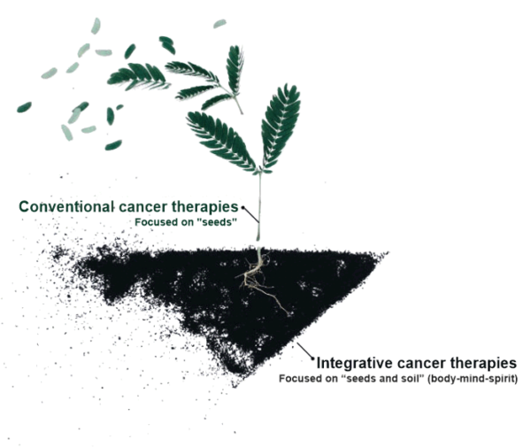 Integrative Cancer Care - Our approach to treatment options