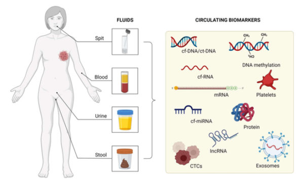 Liquid Biopsy versus Traditional Tissue Biopsy - Integrative Cancer Care